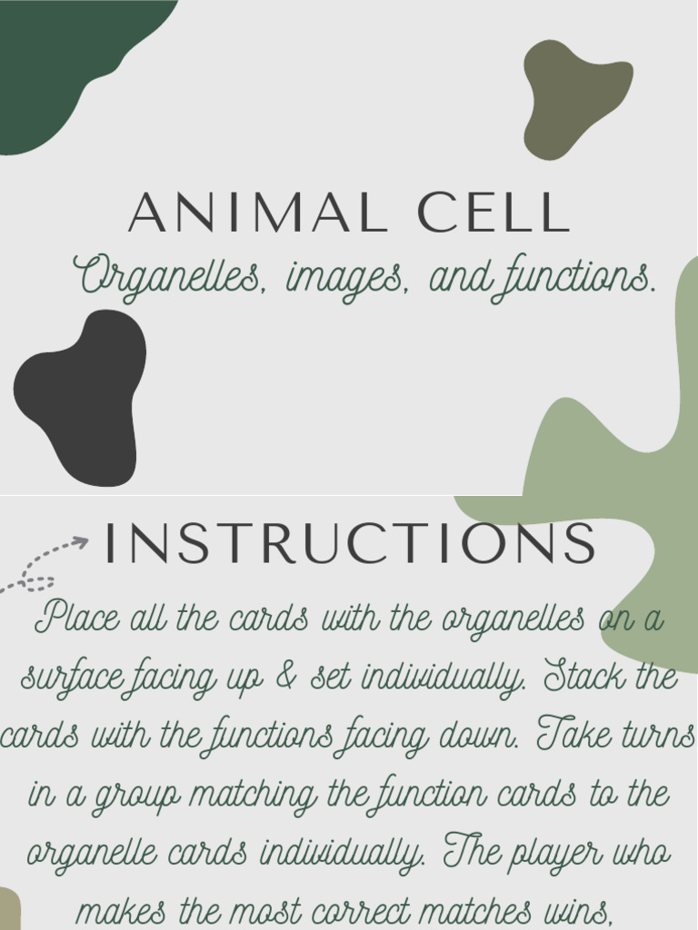 Animal Cell Organelles Matching Game | PDF
