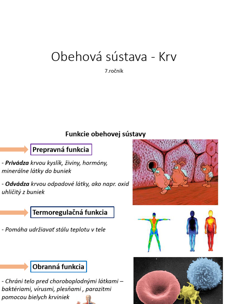 Obehová Sústava - KRV: 7.ročník | PDF