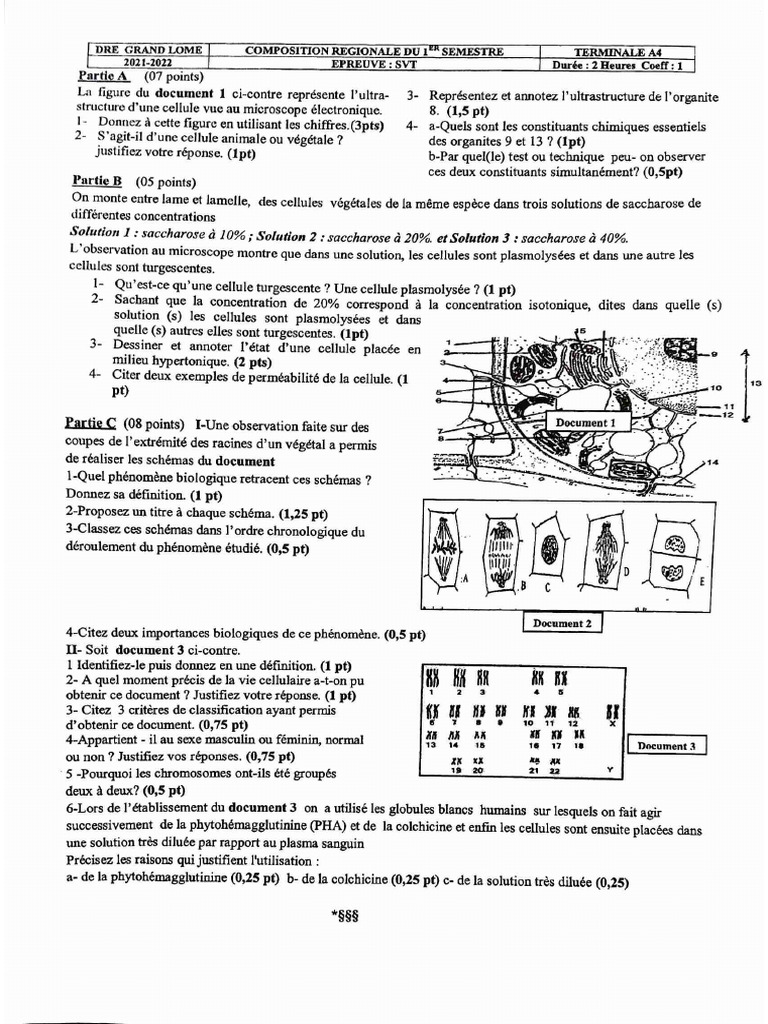 Compo Régionale Tle A4 Grand Lomé - Copie | PDF