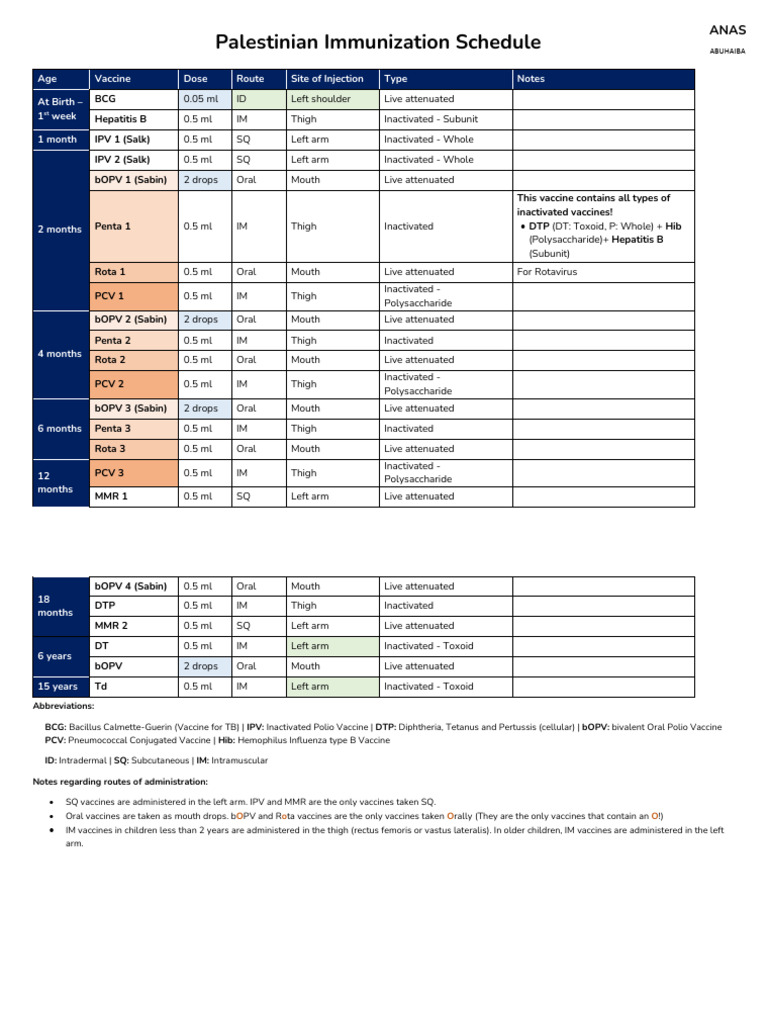 2024 Immunization Schedule Overview | PDF | Vaccines | Health Sciences