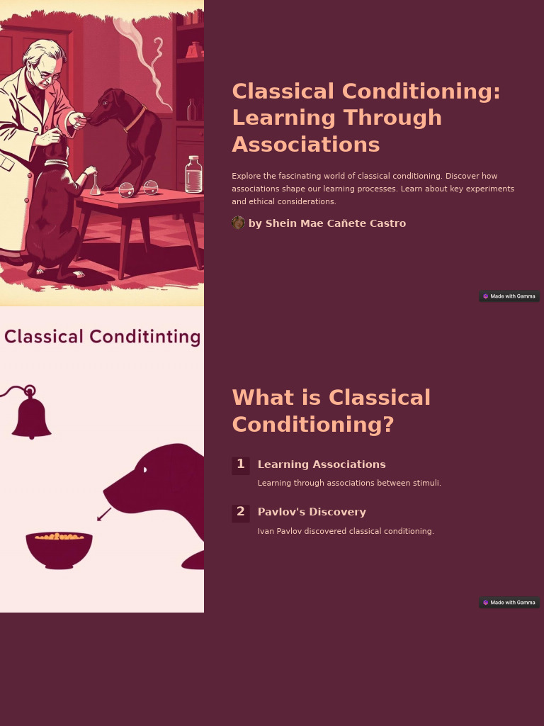 Classical Conditioning Learning Through Associations | PDF