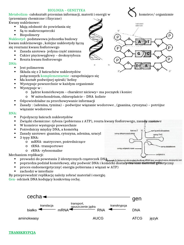 Biologia - Genetyka | PDF