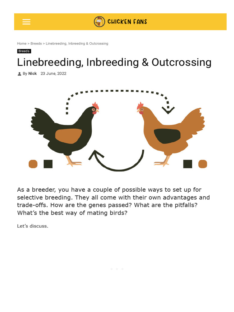 WWW Chickenfans Com Linebreeding Inbreeding Outcrossing ... | PDF ...