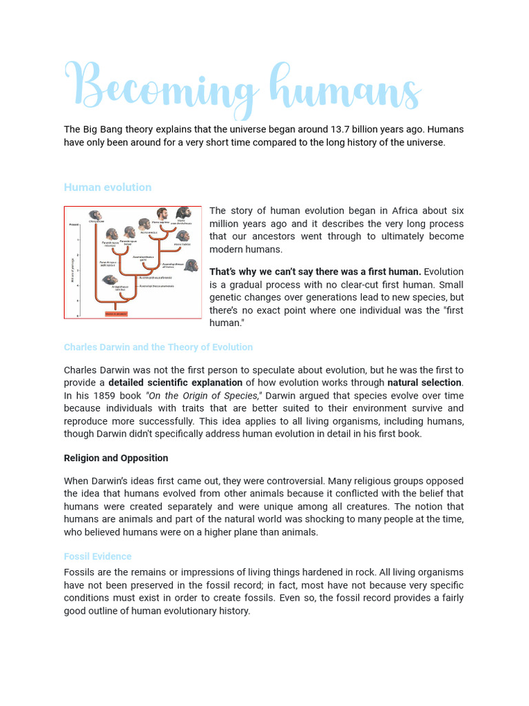 Còpia de APUNTS EXAMEN 1 | PDF | Human Evolution | Bipedalism