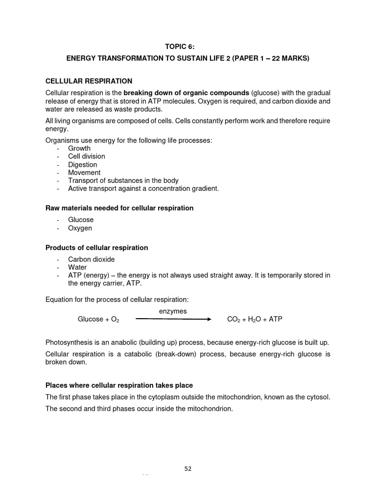 P1 - Energy Transformation To Sustain Life 2 | PDF | Cellular ...