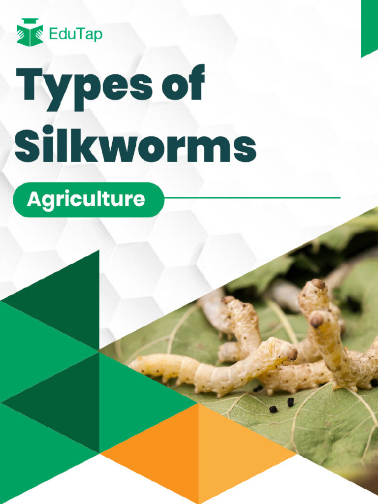 Types of Silkworms Agriculture - Lyst8254 | PDF | Silk | Fibers