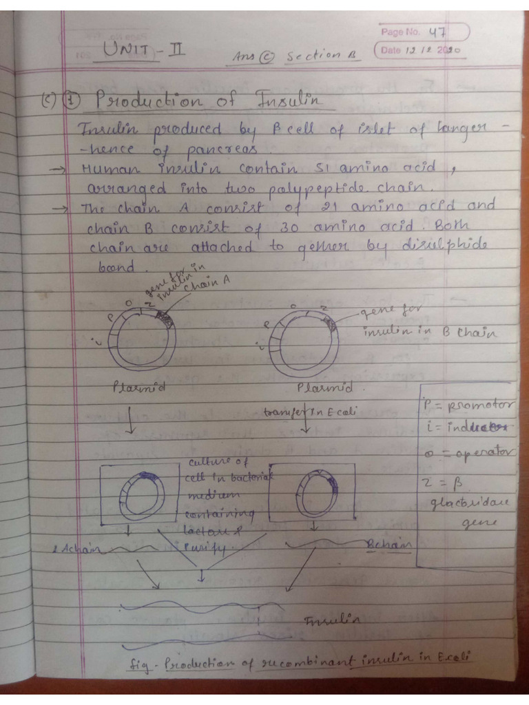 Unit 2 Biotechnology Notes | PDF