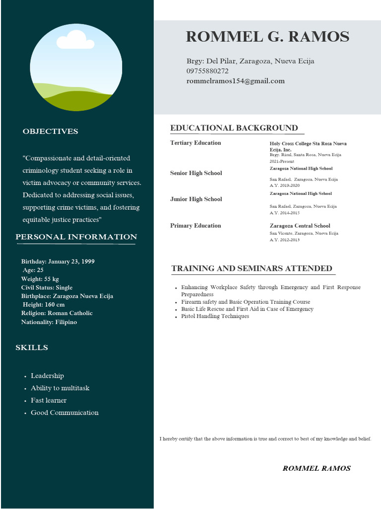 Copy of Professional CV Resume | PDF