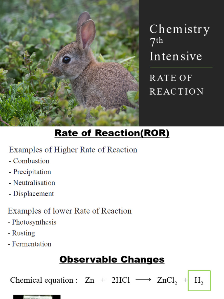 Chemistry 7th Intensive | PDF | Catalysis | Chemical Reactions