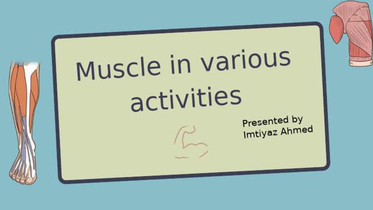 All About Muscles - The Human Body Quiz | PDF
