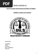 ILO Convention No. 189 Overview | PDF | International Labour ...