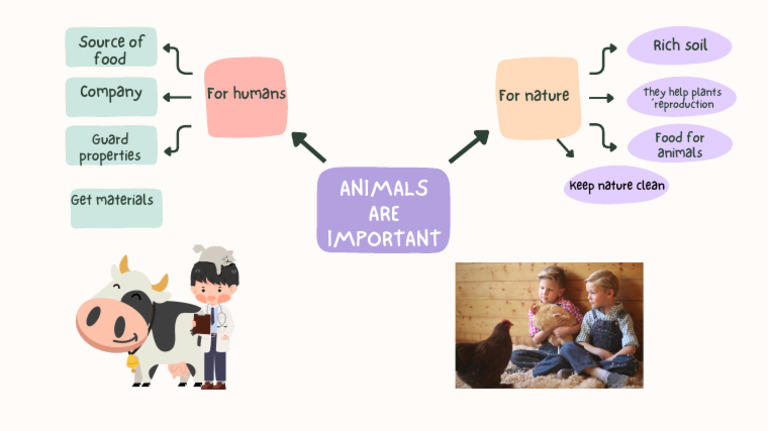 9. Importance of animals mindmap | PDF