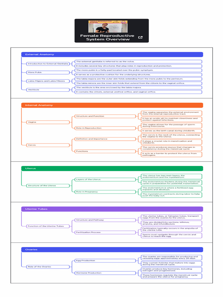 Female Reproductive System Overview | PDF | Uterus | Menstrual Cycle