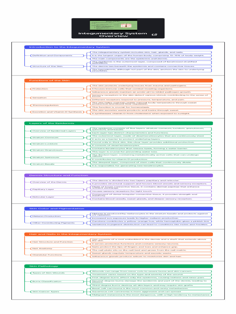 Integumentary System Overview | PDF | Integumentary System | Skin