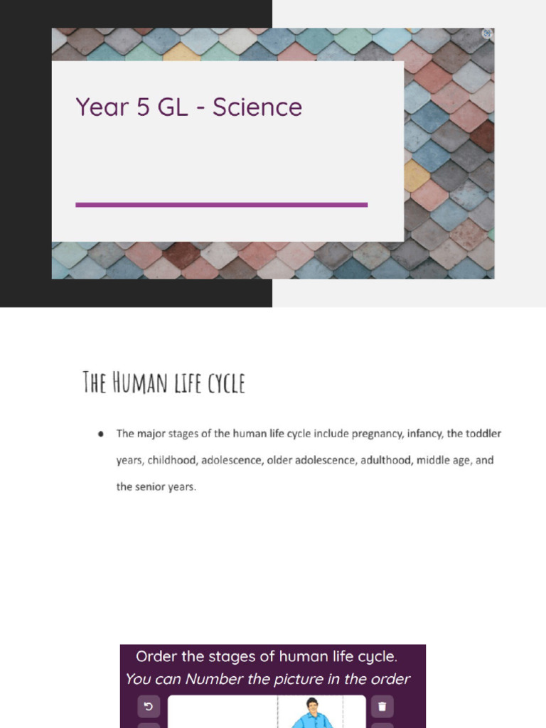 6 - GL Assessment Self Study | PDF