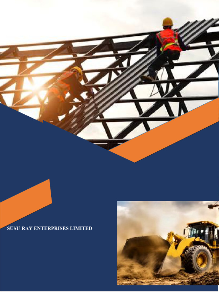 Susu Ray Profile Demo 001 - 111742 | PDF | Goal | Supply Chain