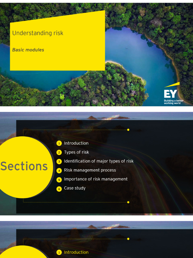 Understanding Risk Pdf