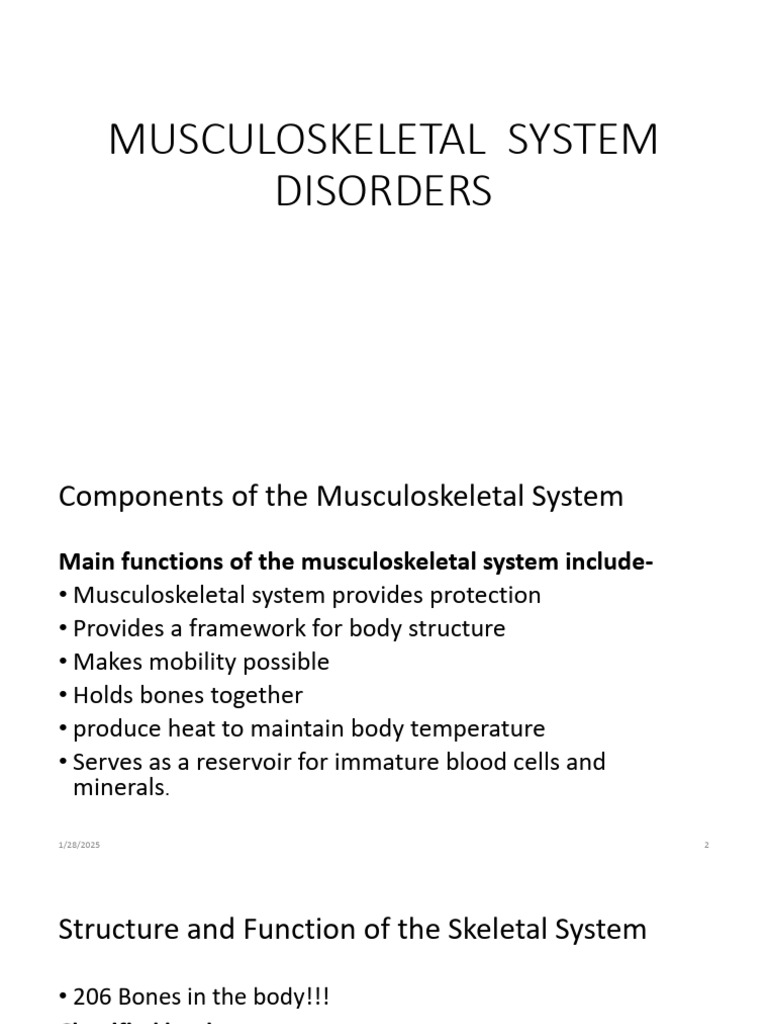 Musculoskeletal System Disorders Overview | PDF | Osteoporosis | Bone