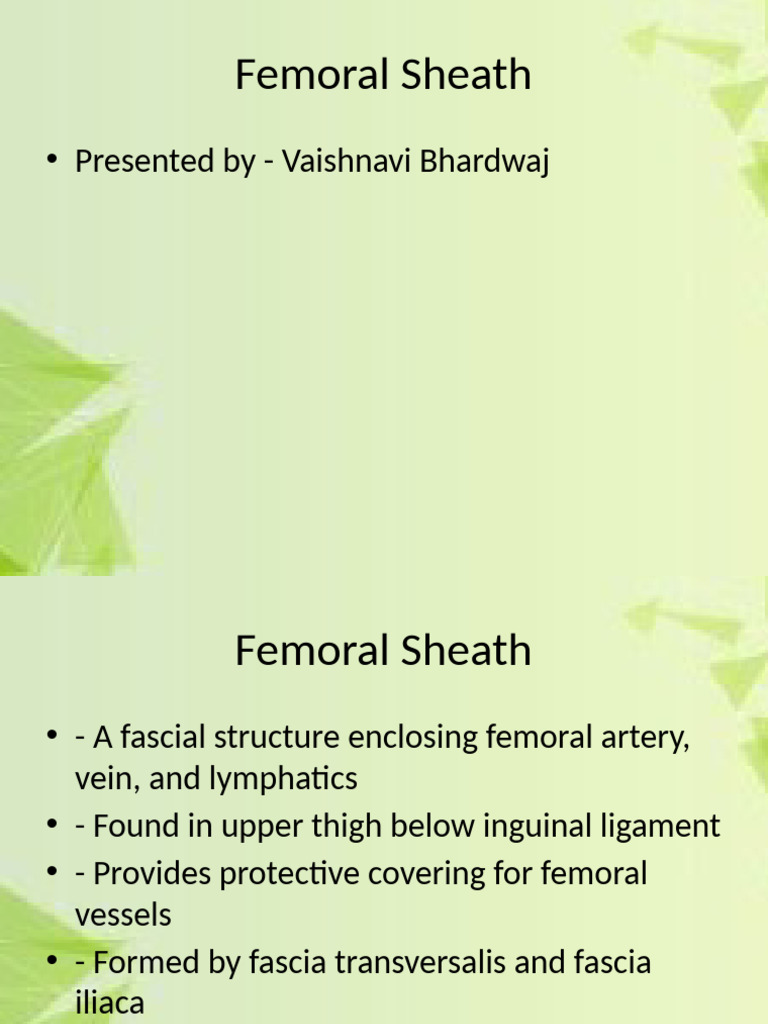 Femoral Sheath Presentation | PDF