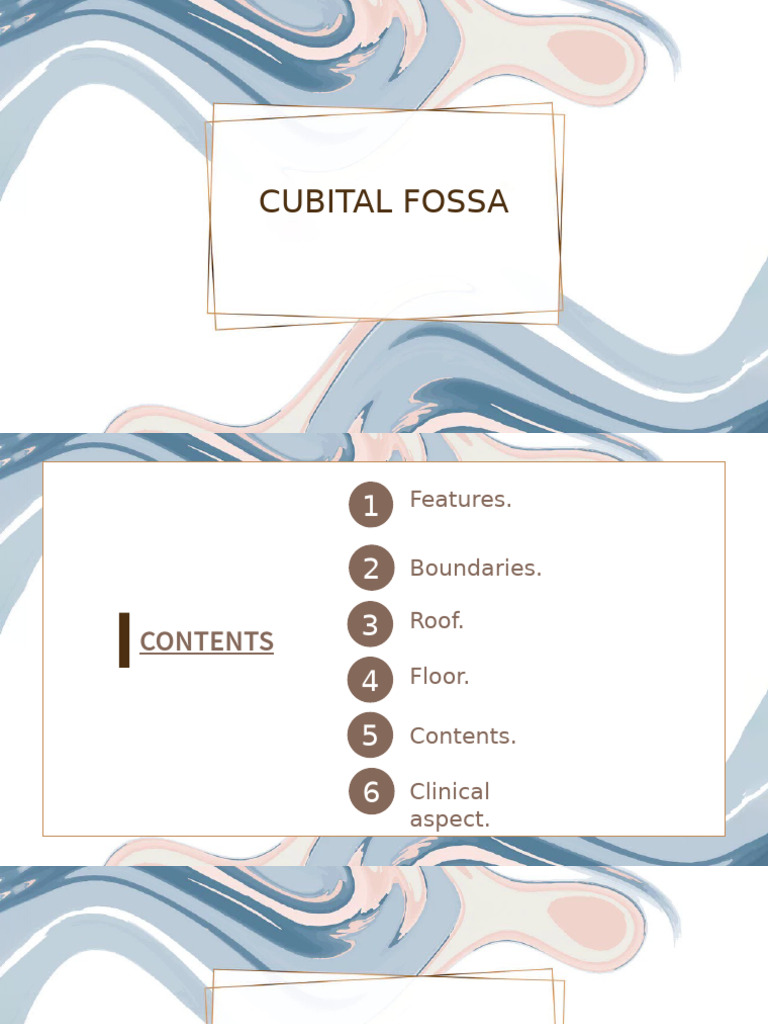 Anatomy Cubital Fossa | PDF | Elbow | Human Anatomy