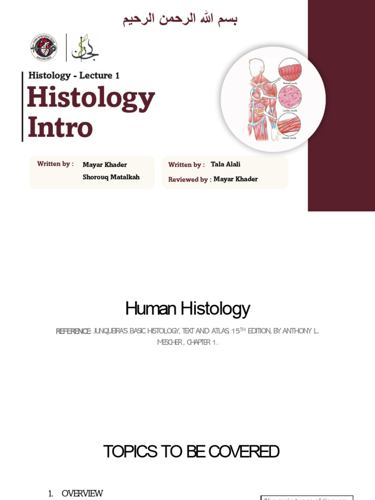 Modified 1 - Introduction To Histology - V0 | PDF | Staining | Histology