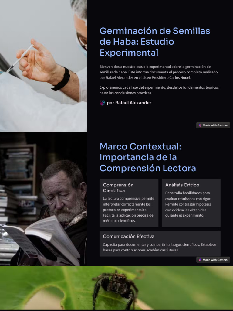 Germinación de Semillas de Haba: Estudio Experimental | PDF ...