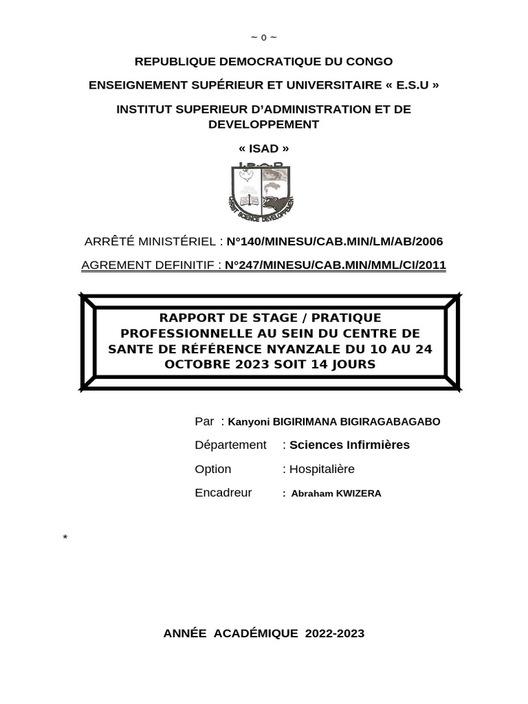 Rapport de stage en soins infirmiers 2023 | PDF | Allaitement ...