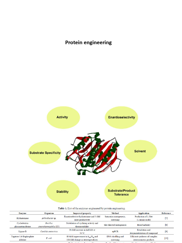 ML01 Protein Engineering | PDF | Cysteine | Enzyme