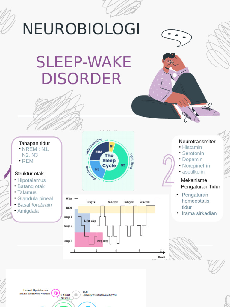 Neurobiologi & Sleep Wake Disorders | PDF