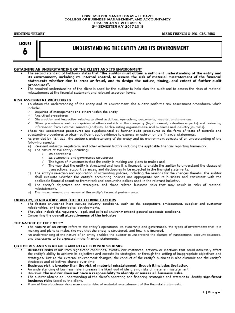 LG 06 Understanding The Entity and Its Environment 2017 | PDF | Internal Control | Audit