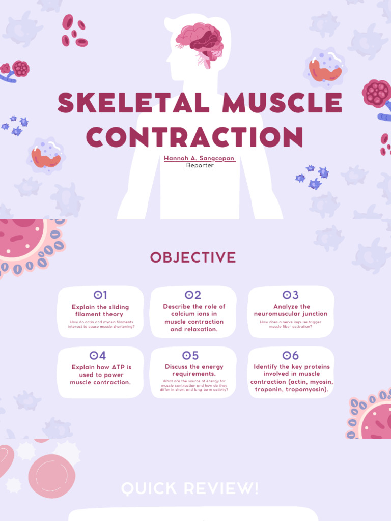 Understanding Skeletal Muscle Contraction | PDF | Muscle Contraction ...