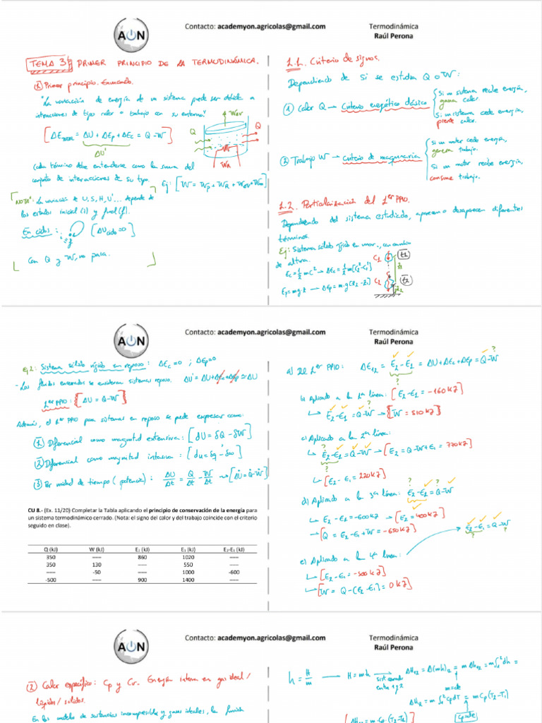 Tema 3. 1er Ppio | PDF
