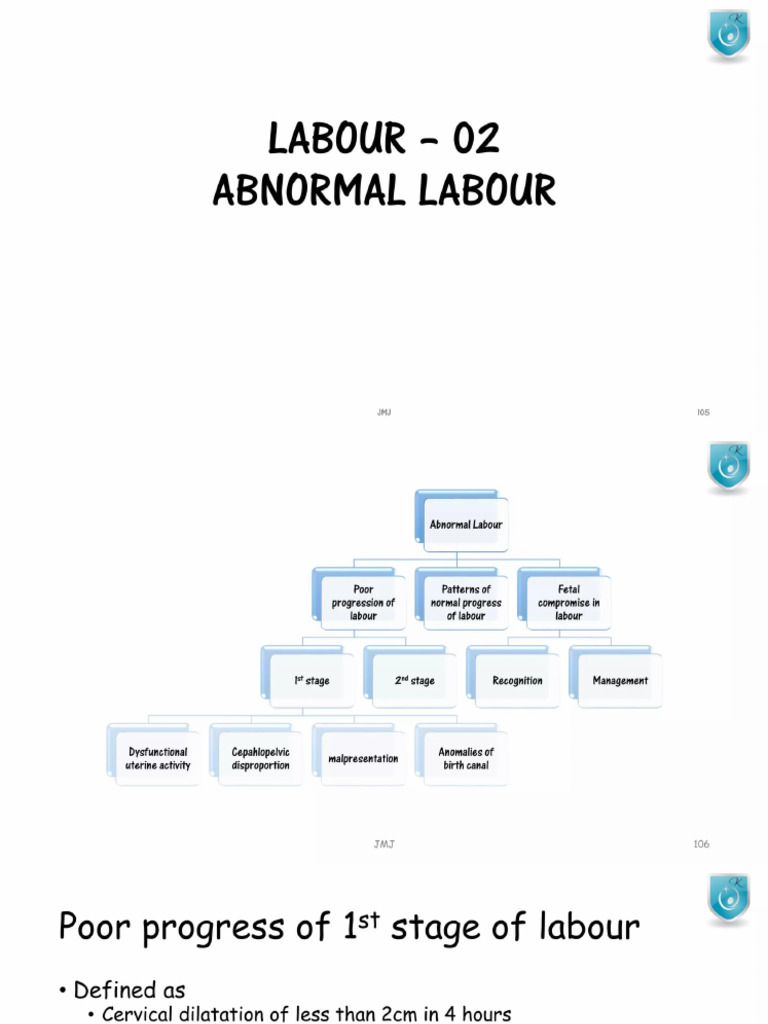 Normal Labour and Abnormal Labour - 20240520 - 212222 | PDF