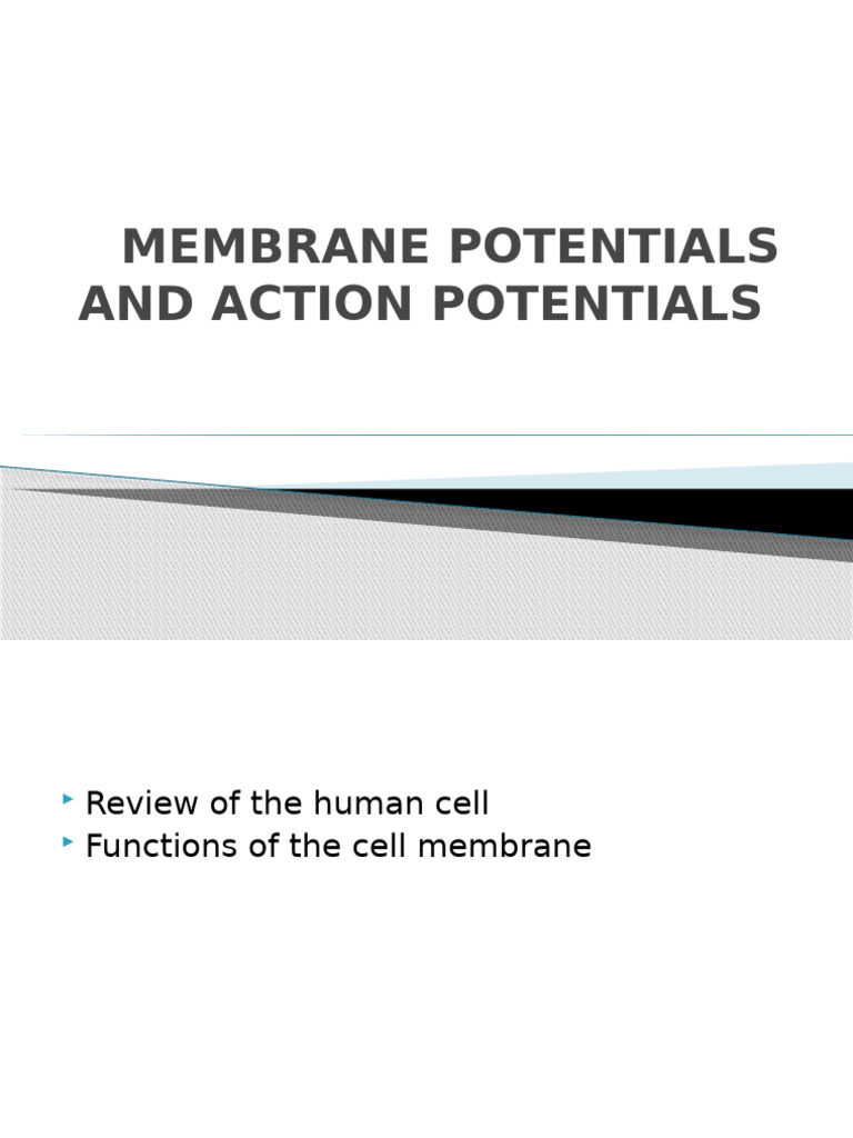 Action Potential | PDF | Action Potential | Ion Channel