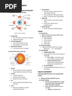 Six Cardinal Fields of Gaze Assessment | PDF | Eye | Visual Acuity