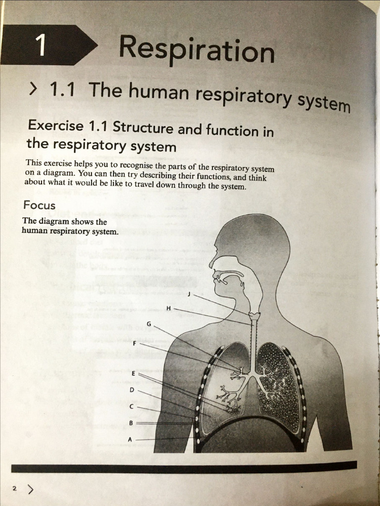 Grade 7 Science Workbook | PDF