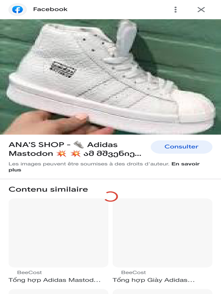 Photo Adidas Mastodon - Recherche Google | PDF