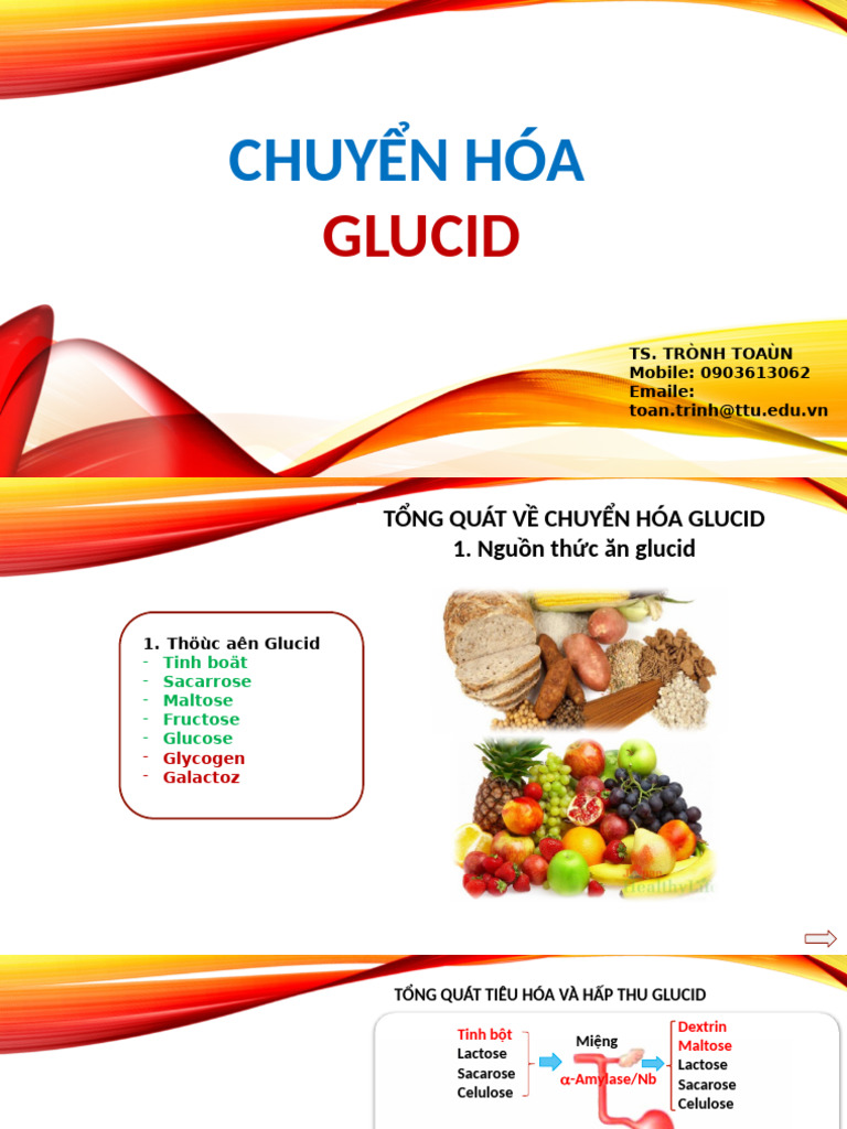 Chuyen Hoa Glucid (BG 30t) | PDF