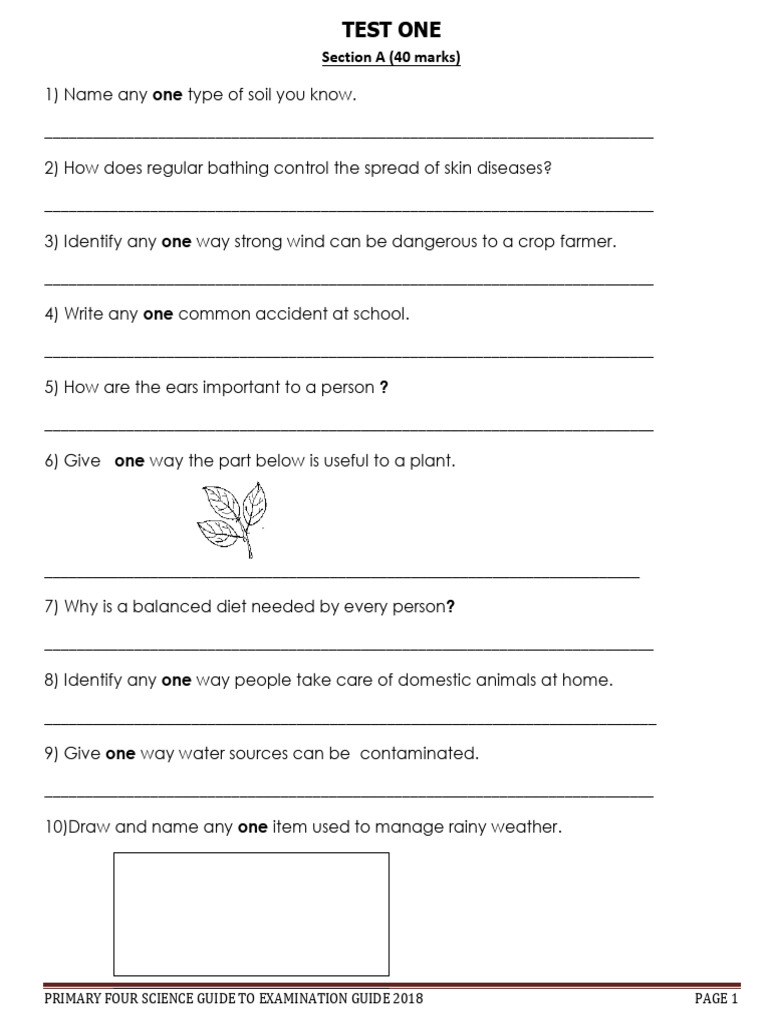 P4 Science Revision Questions-Guide To Examination Guide 2018 | PDF ...