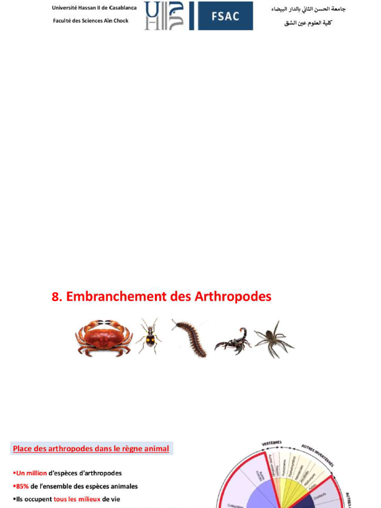 Arthropodes 2025 | PDF