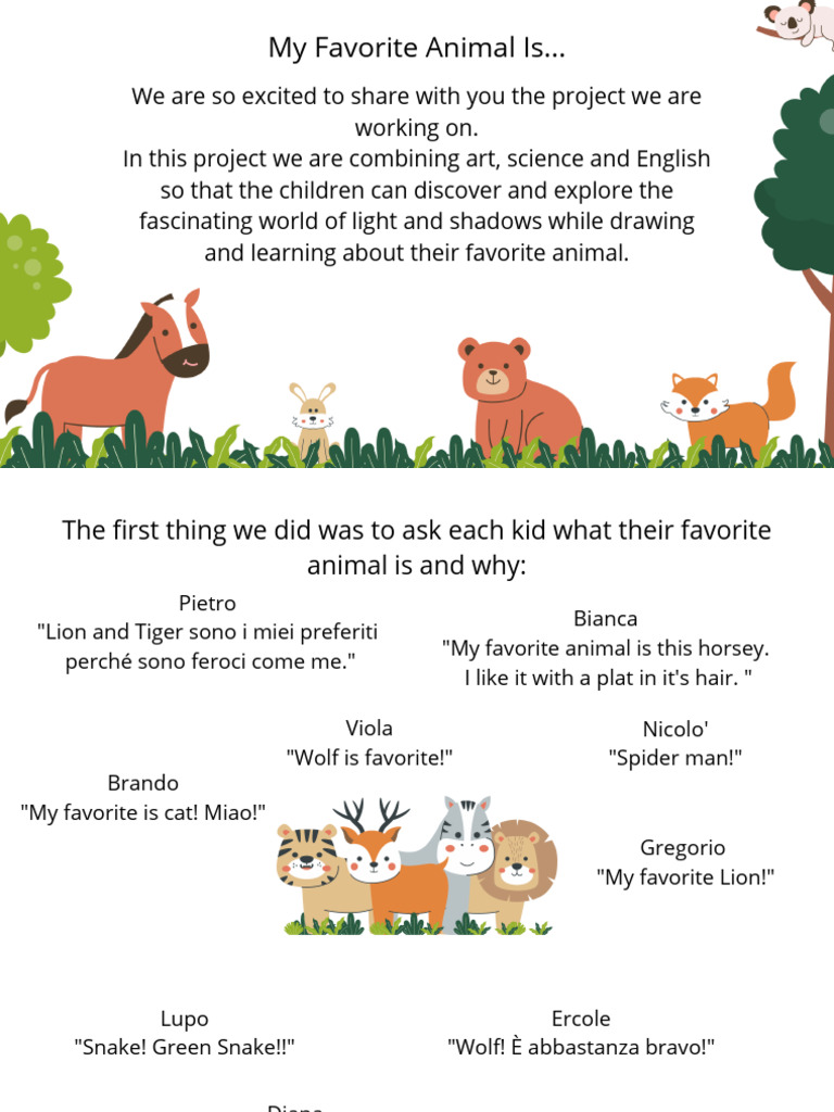 Exploring Favorite Animals Through Shadows | PDF | Light