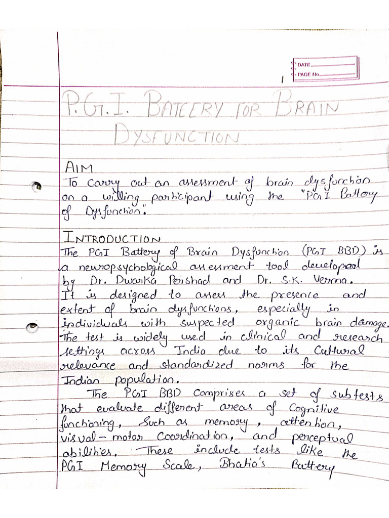 PGI - BBD Practical File | PDF