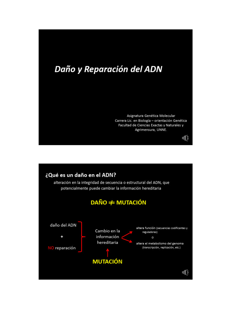 Tema 06 - Reparación del ADN (Lic) | PDF | Reparación de adn | Adn