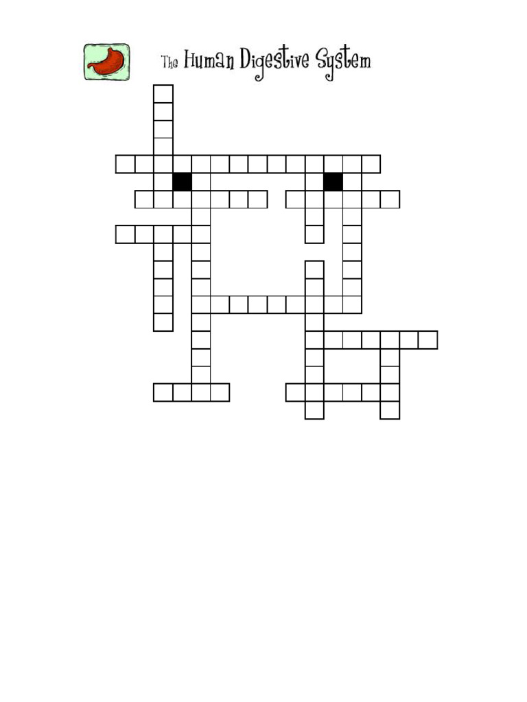 Digestivesystem Crossword | PDF