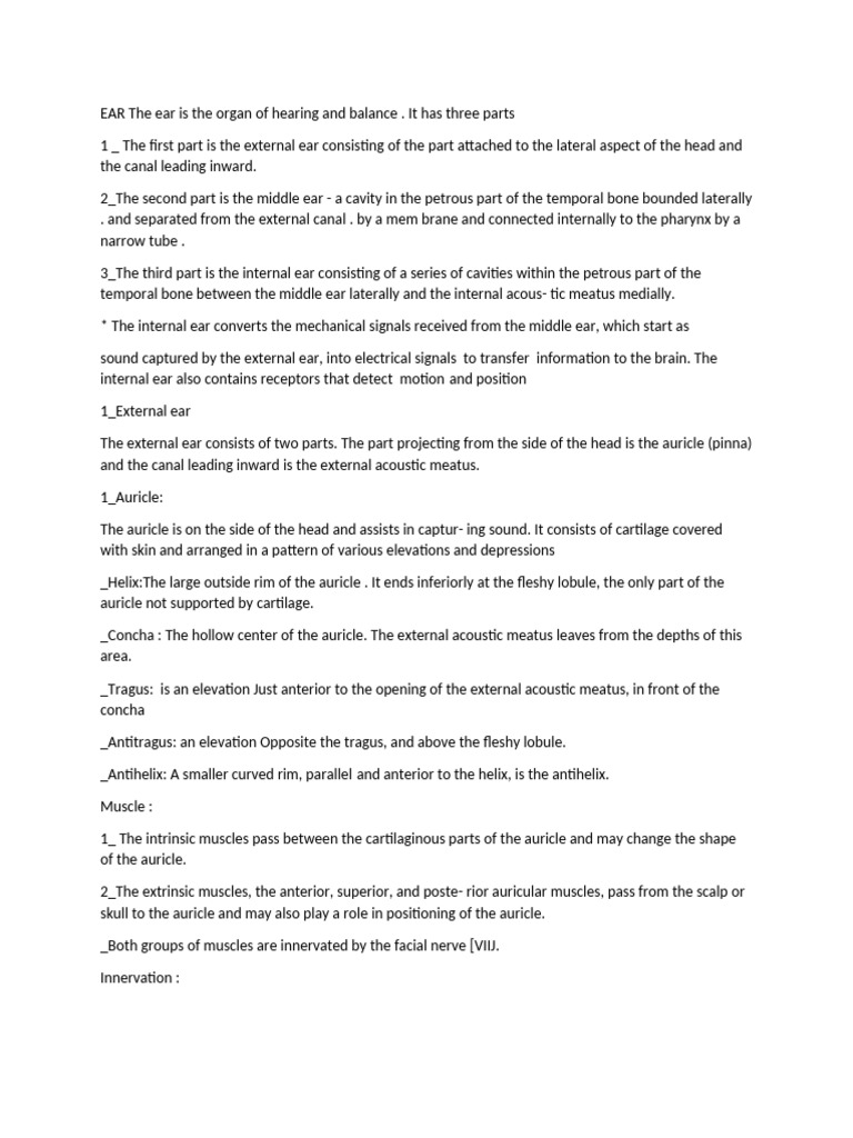 1st Sem EAR External and Middle Anatomy | PDF | Ear | Primate Anatomy