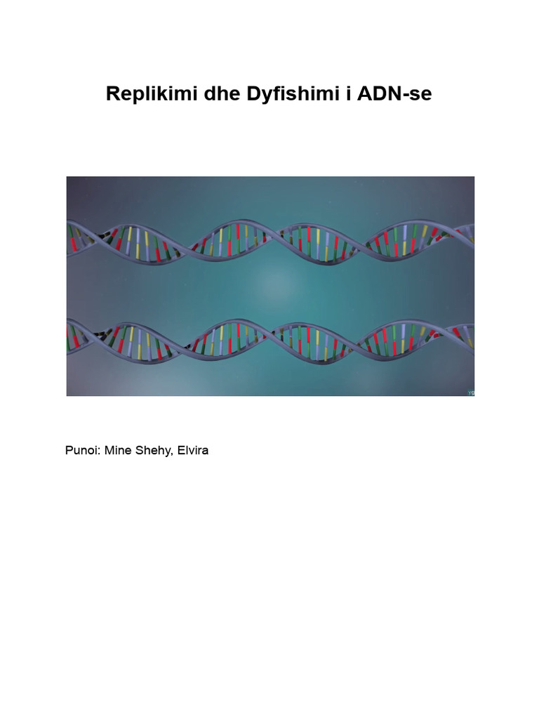 Replikimi Dhe Dyfishimi I ADN-se | PDF