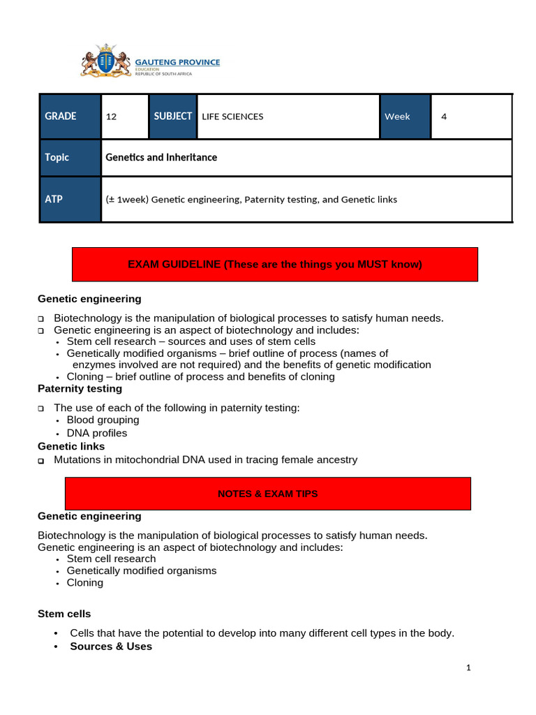 Life Sciences Grade 12 Term 2 Week 4 To 6 2022 | PDF | Nervous System ...