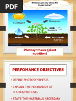 Photosynthesis Overview for Class 10 | PDF