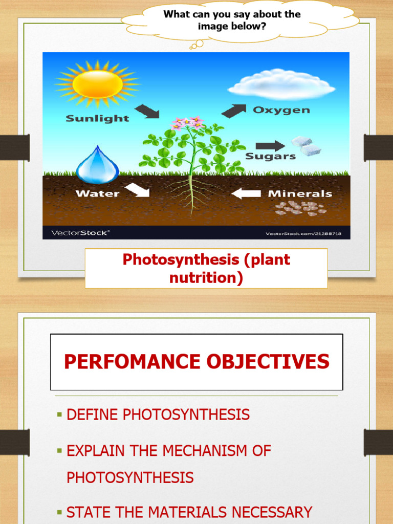 Understanding Photosynthesis Process | PDF | Photosynthesis | Biology