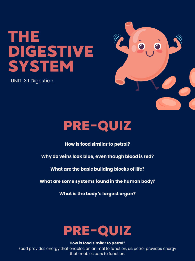 3.1 - Digestive System | PDF | Digestion | Stomach